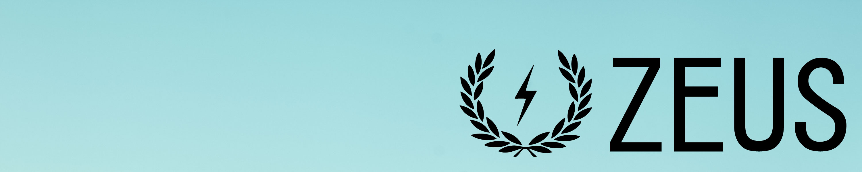 Amazon.com: ZEUS: Hair, Body & Face Care