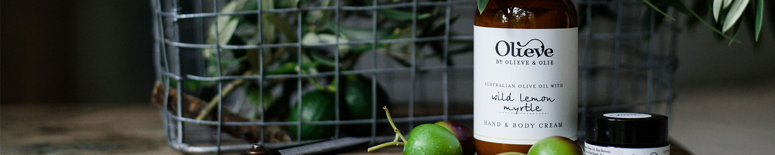 Amazon.com: Olieve & Olie