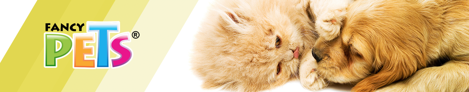 Amazon.com.mx: Fancy Pets: Spiky