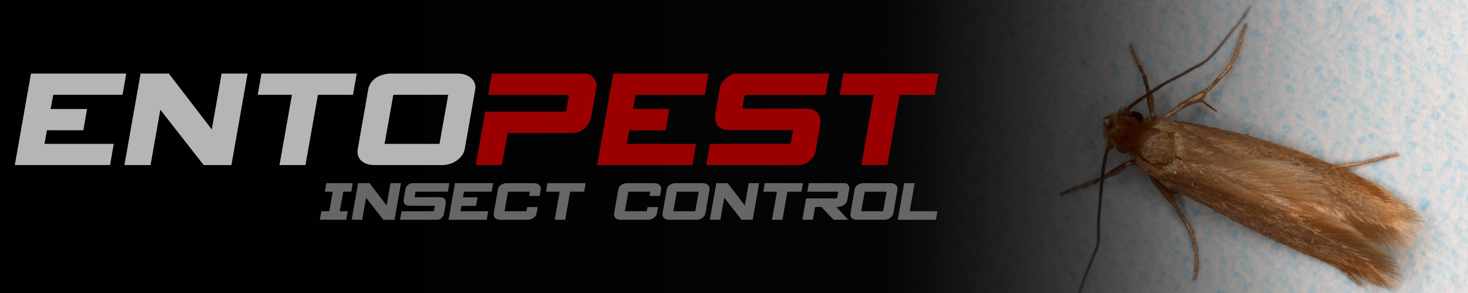 Amazon.co.uk: Entopest Insect Control