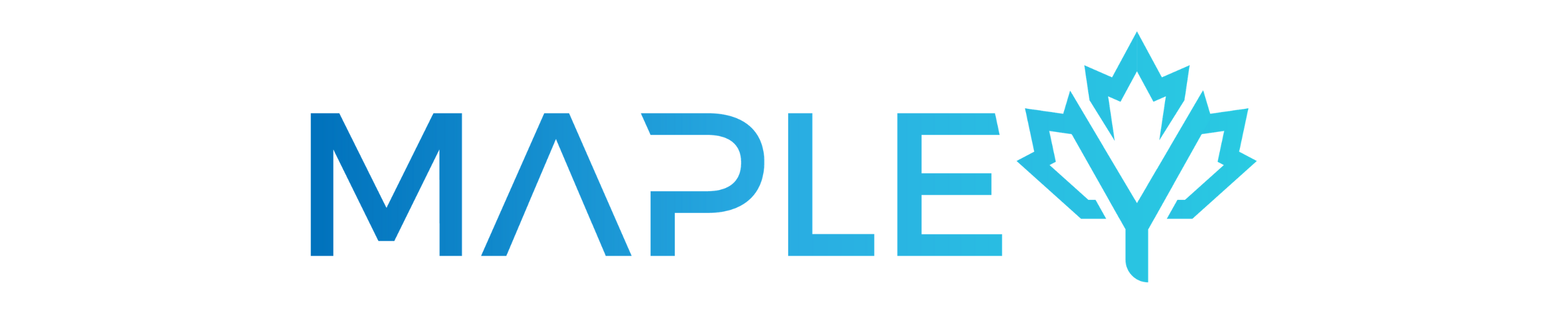 Amazon.co.uk: Mapley: Cycling Accessories