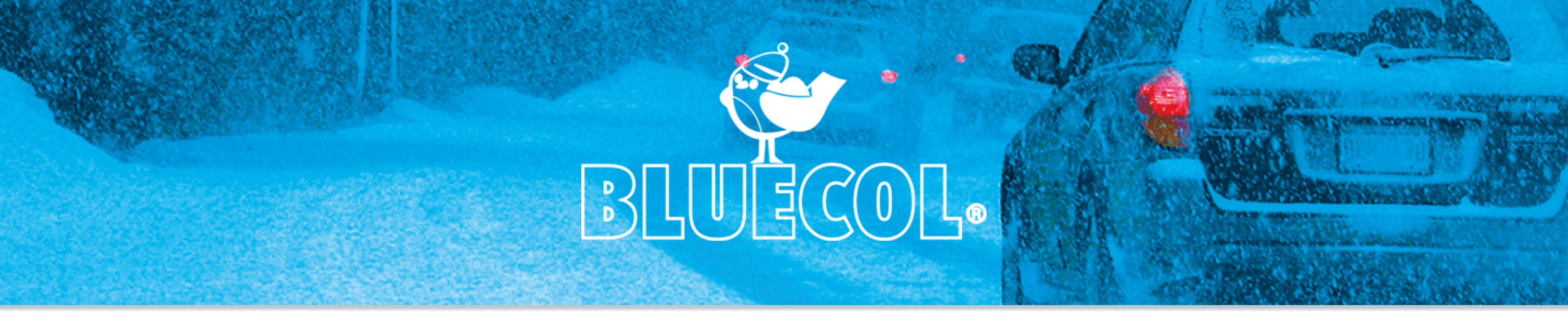 Amazon.co.uk: Bluecol: Anti-Freeze & Coolants