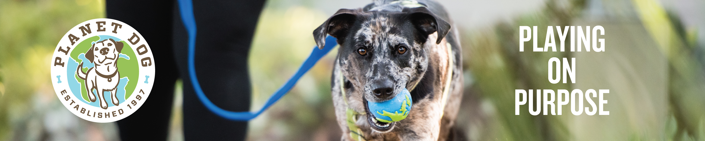 Amazon.co.uk: Planet Dog: Durable Dog Toys