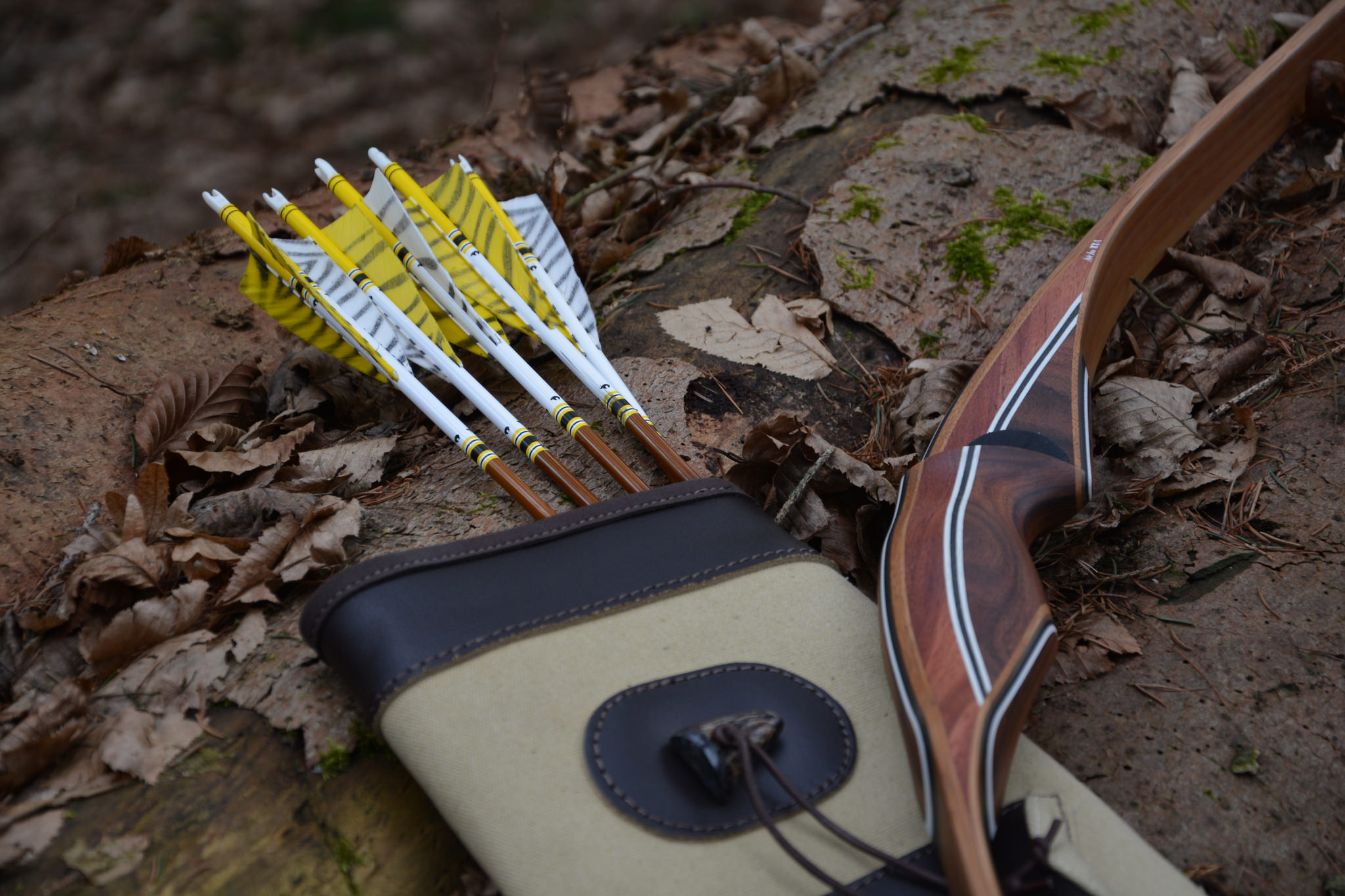 Amazon.de: Arrowforge