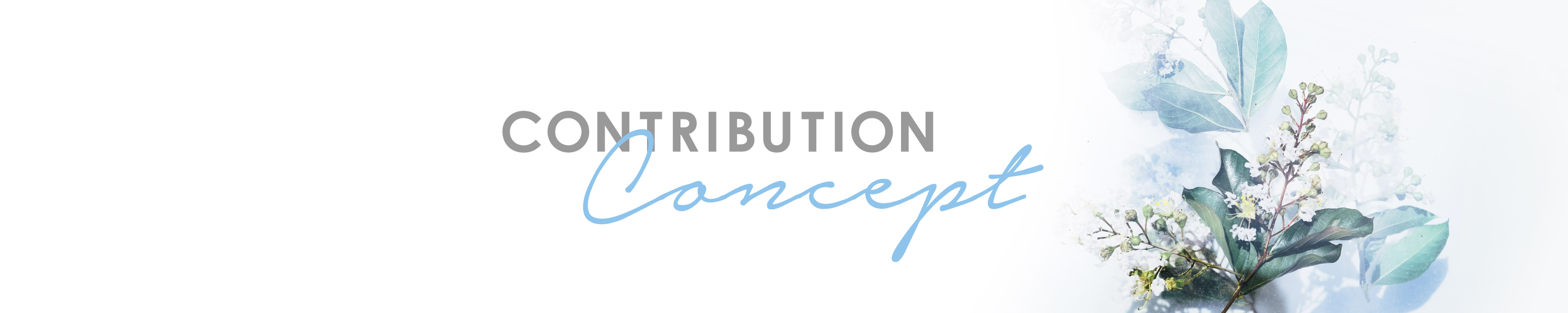 Amazon.co.jp: CONTRIBUTION: コンセプト