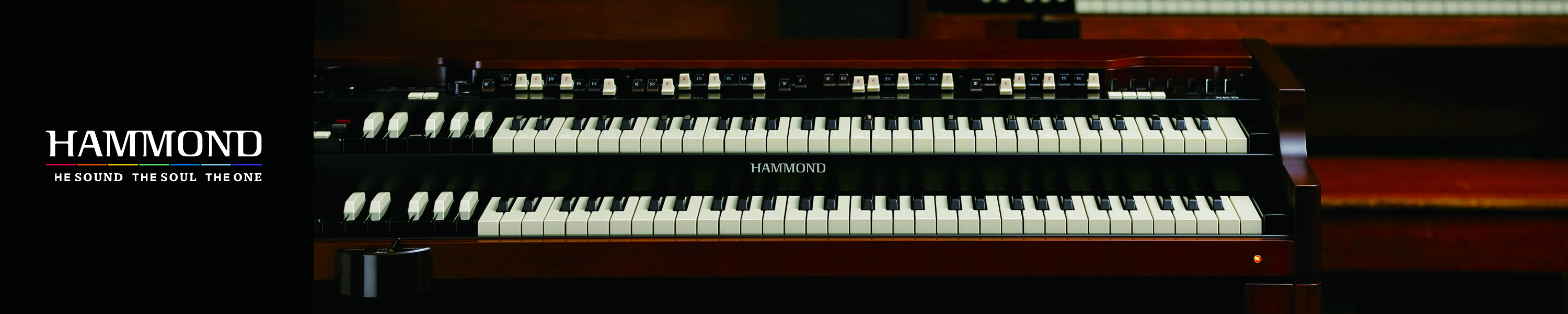 Amazon.co.jp: SUZUKI MUSICAL INSTRUMENT MFG.CO.,LTD.: 足鍵盤