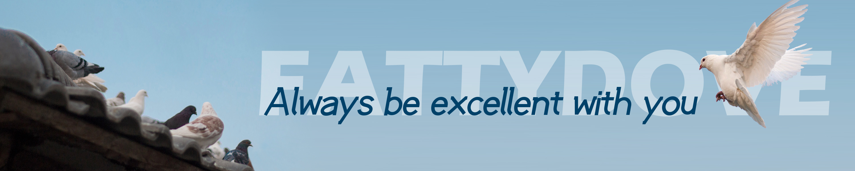 Amazon.ca: FATTYDOVE: SSD