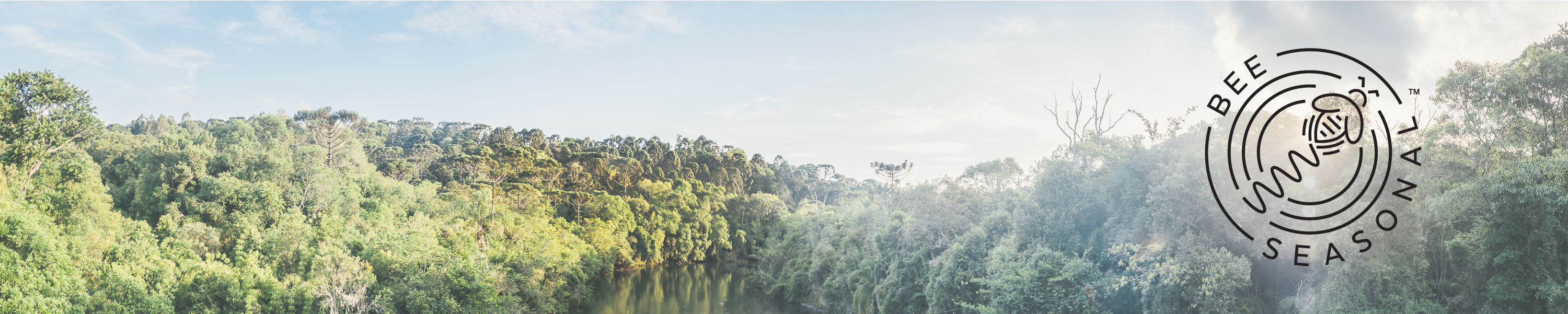 Amazon.com: Bee Seasonal