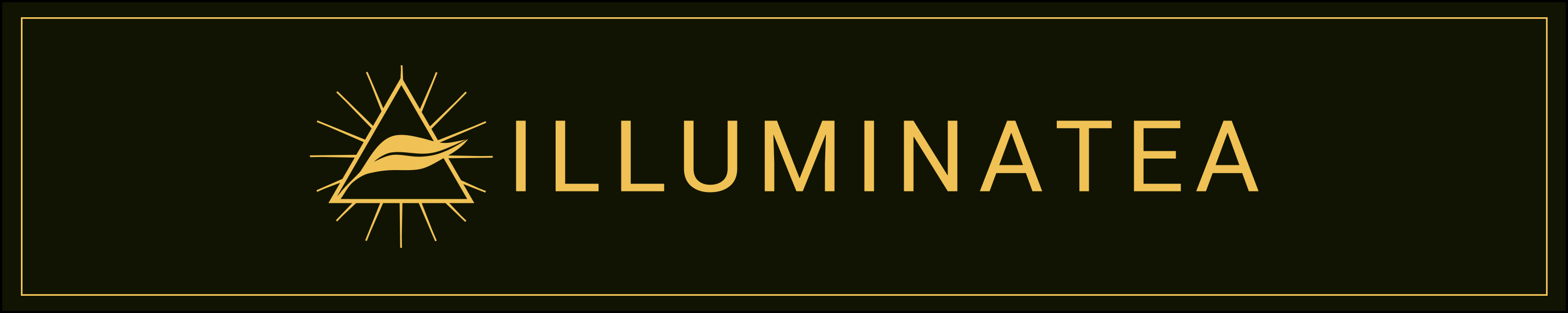 Amazon.com: ILLUMINATEA