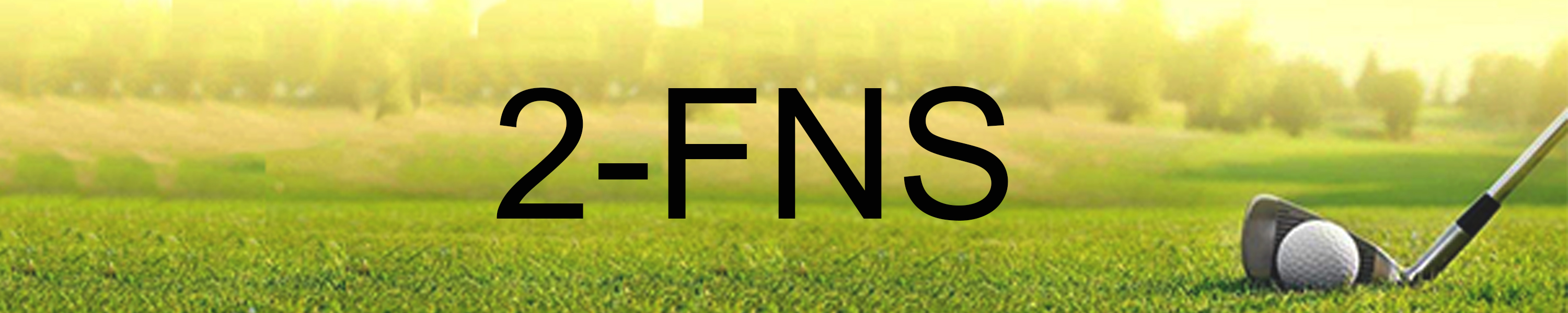 Amazon.com: 2-FNS: CORNHOLE BOARD