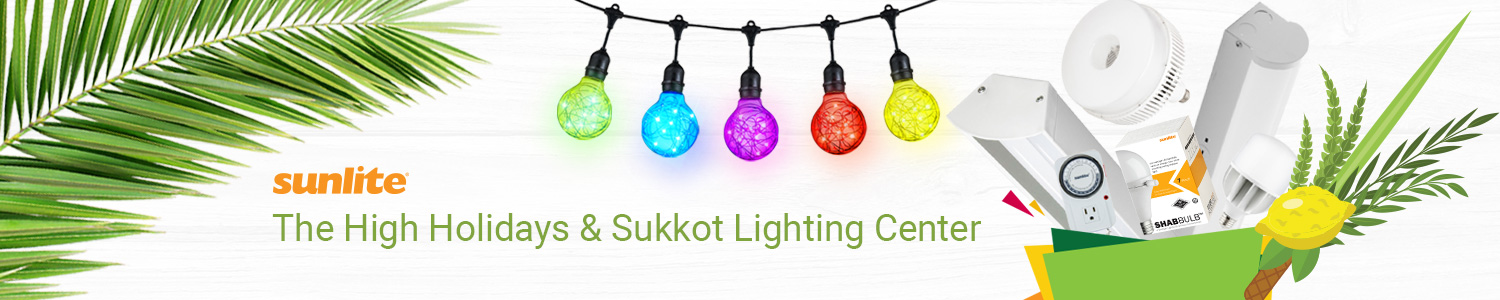 Amazon.com: Sunlite: Sukkot Lighting