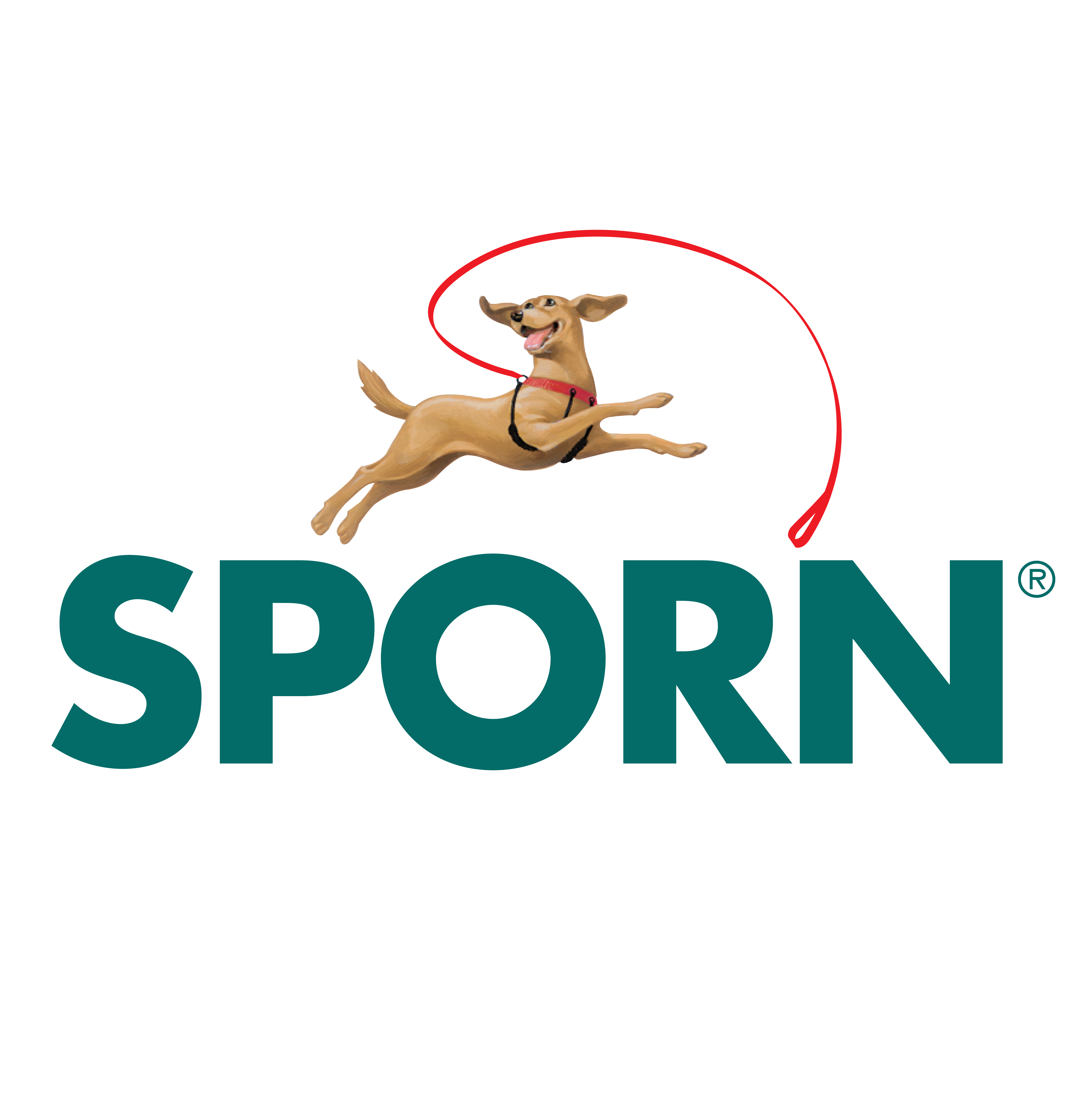 Amazon.com: Sporn