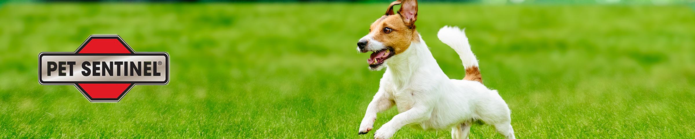 Amazon.com: Pet Sentinel