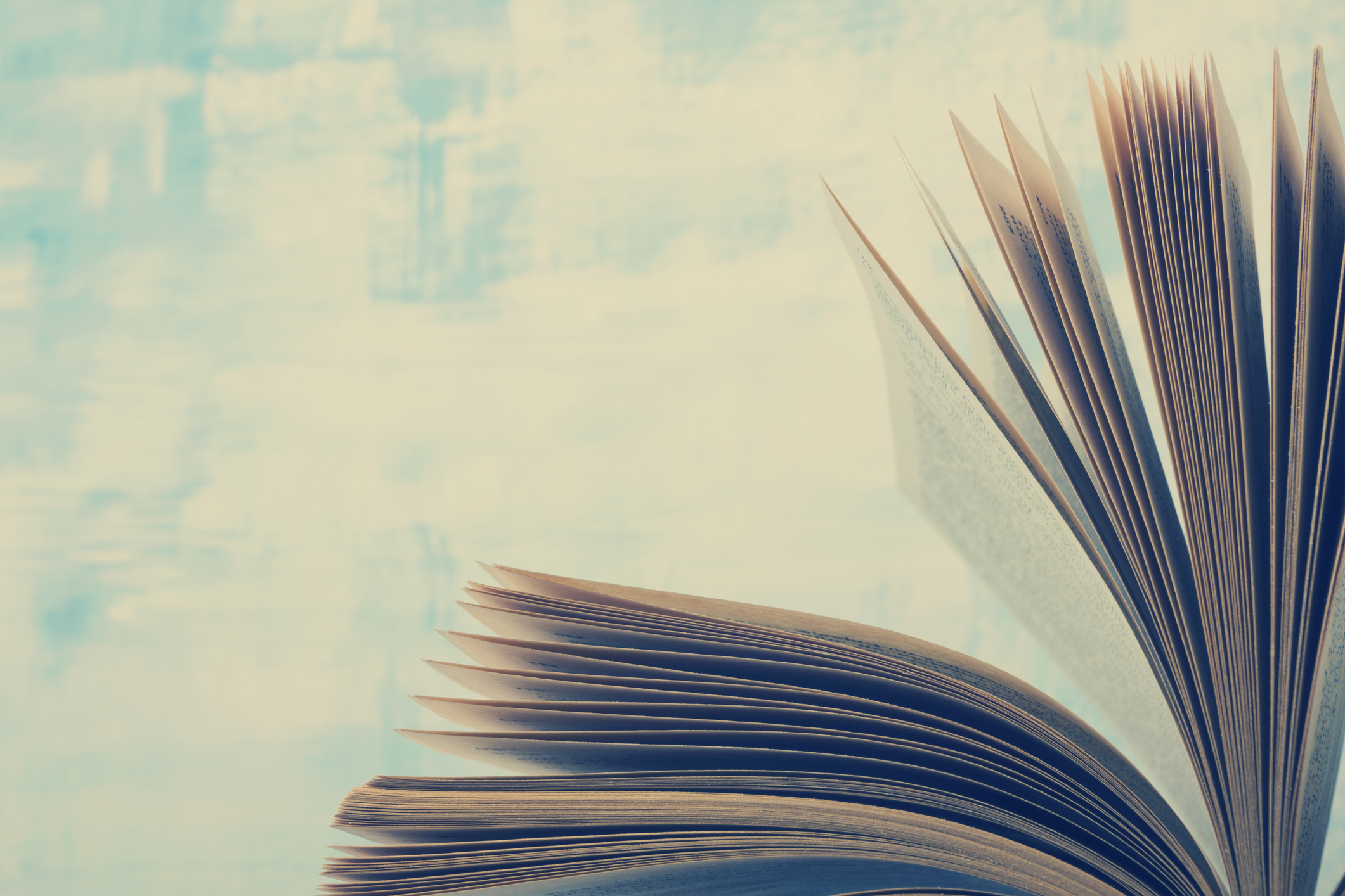 Amazon.com: Midnight Ink Books: Police Procedural & PI Mysteries