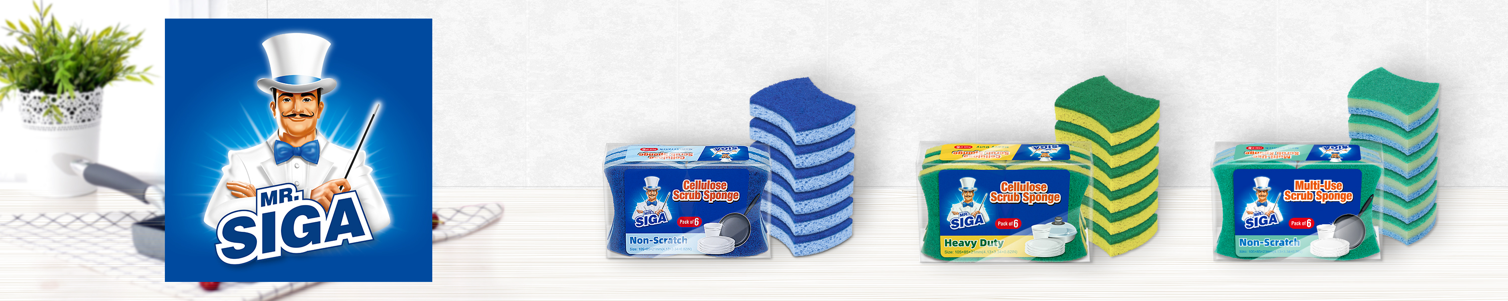 Amazon.com: MR.SIGA: Sponges