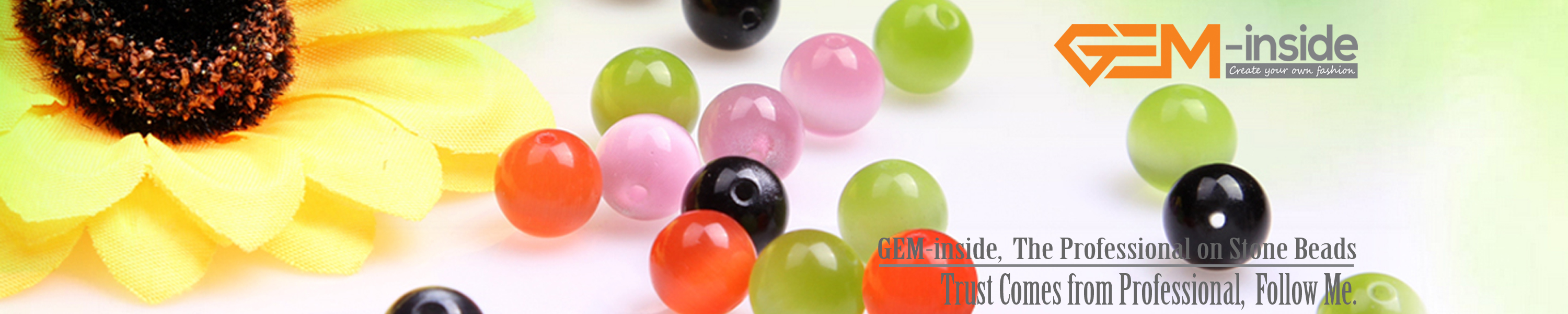 Amazon.com: GEM-inside: New Arrival left