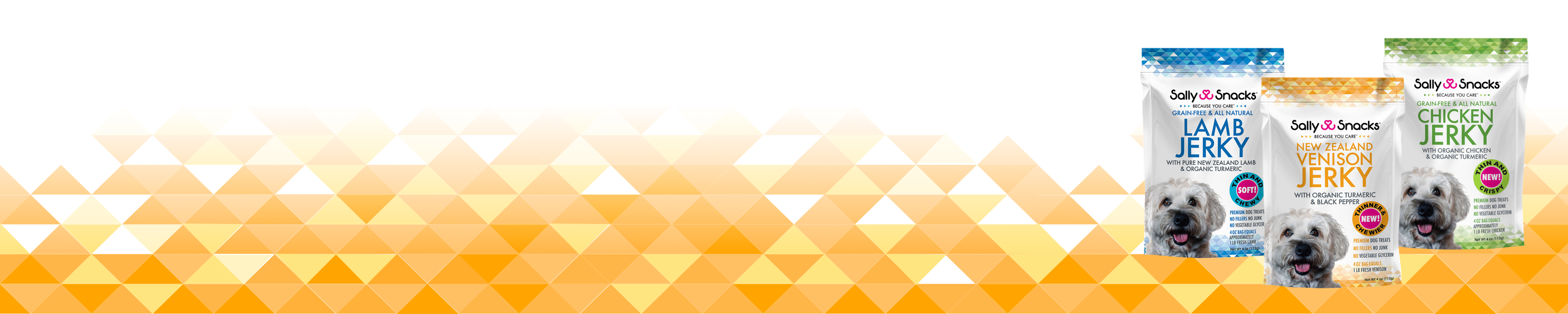 Amazon.com: Sally Snacks: Shop