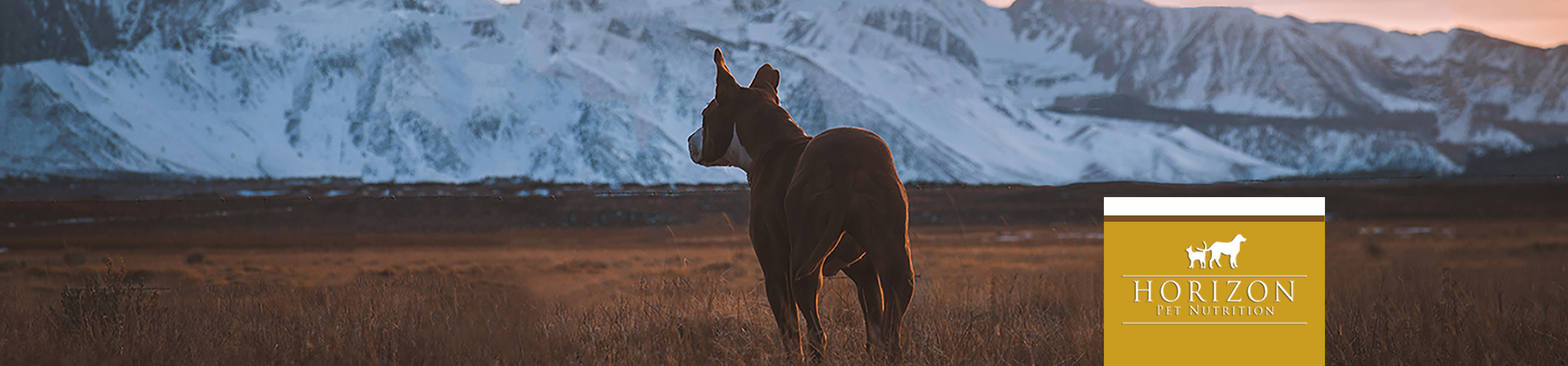 Amazon.com: Horizon Pet Nutrition: Complete