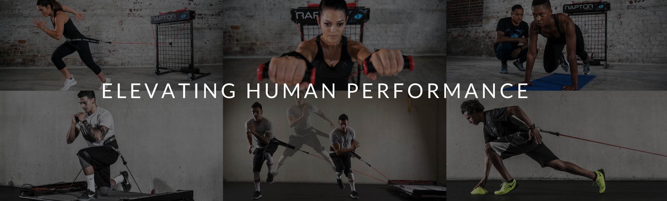 Amazon.com: VertiMax