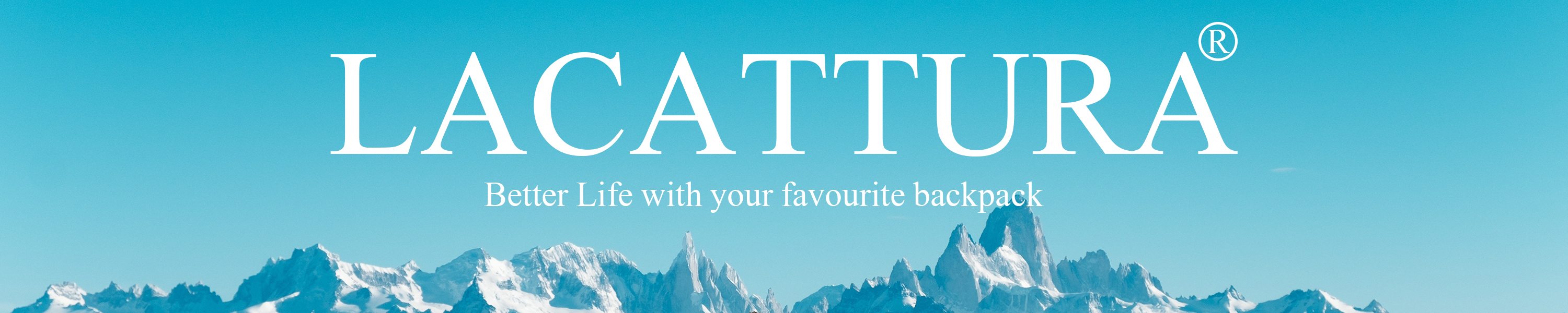 Amazon.com: LACATTURA