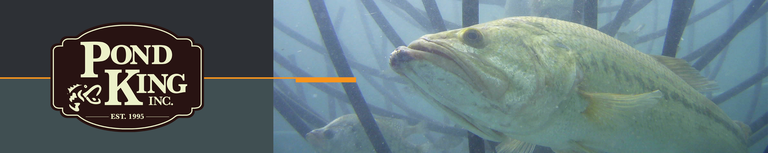 Amazon.com: Pond King, Inc.