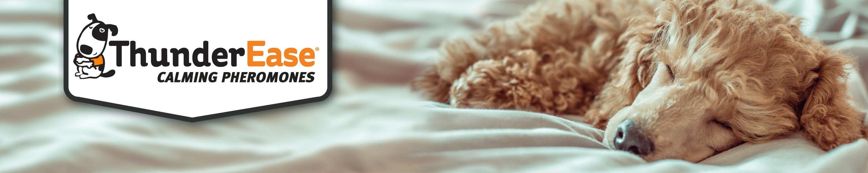 Amazon.com: ThunderEase: Shop for Dogs