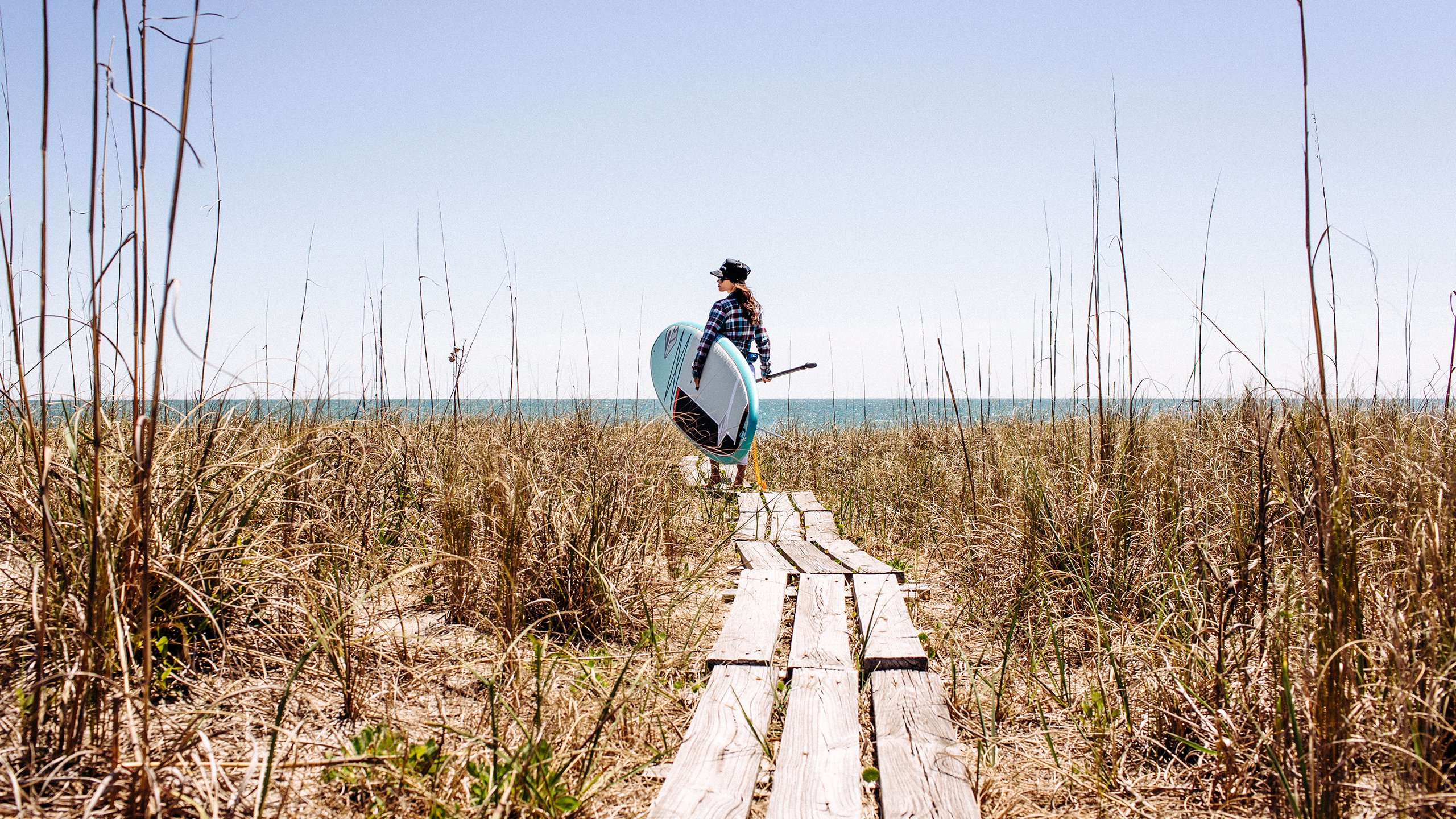 Amazon.com: Boardworks: Boardworks