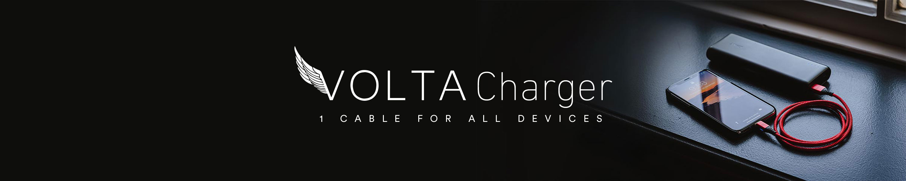 Amazon.com: VOLTA Charger