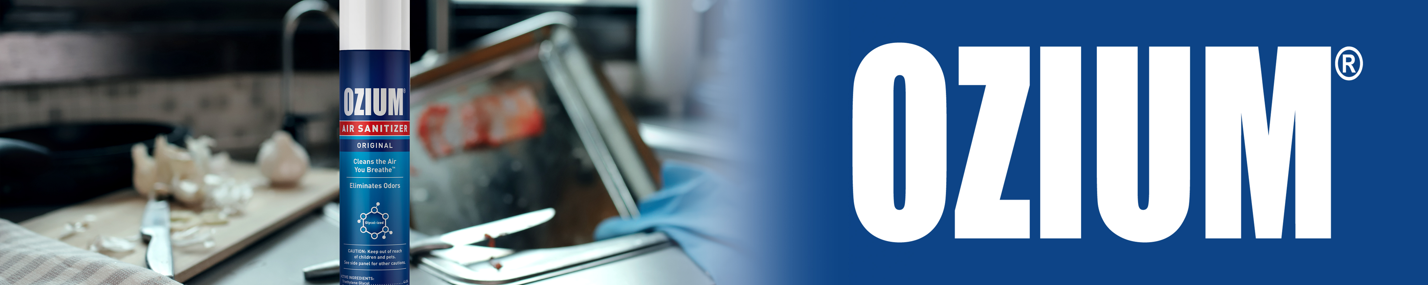 Amazon.com: OZIUM: Sprays
