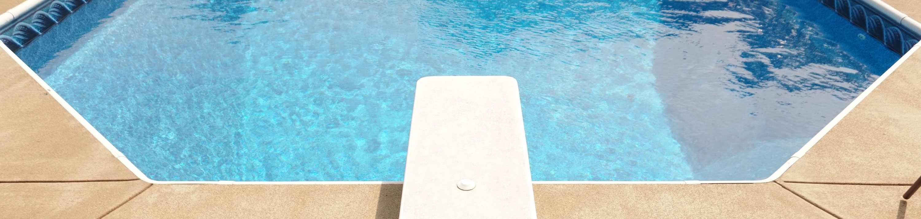 Amazon.com: Guardian Filtration Products: Pool Filter Cartridges