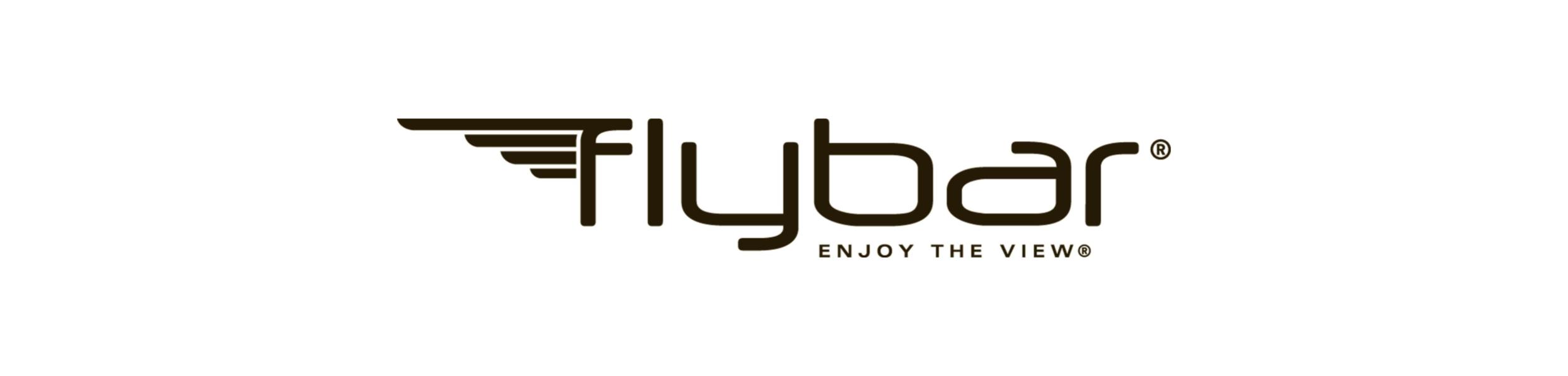 Amazon.com: Flybar