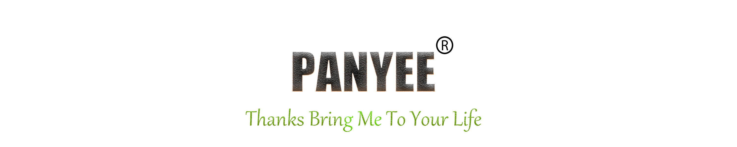 Amazon.com: PANYEE