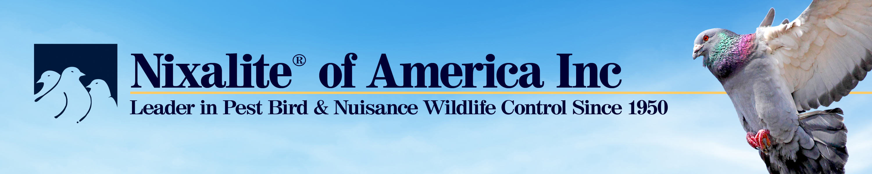 Amazon.com: Nixalite