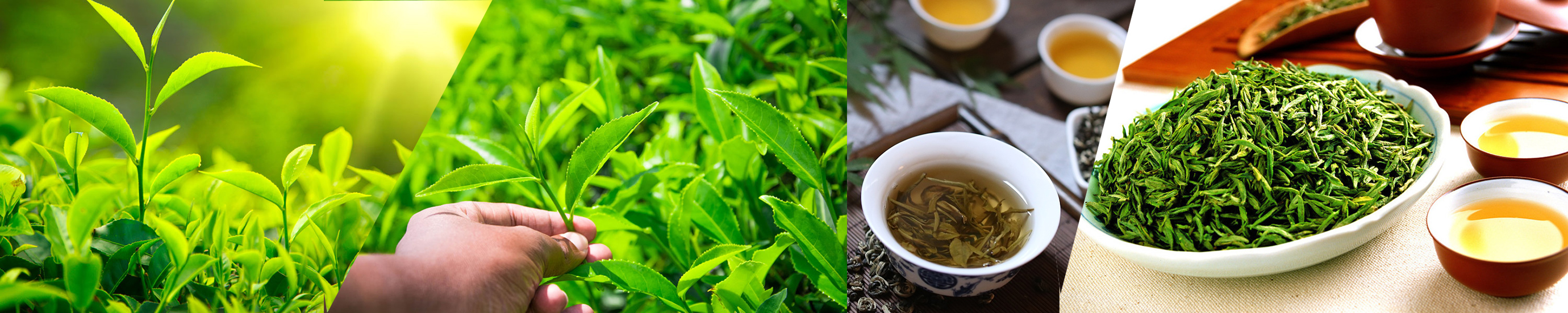 Amazon.com: Luxtea: Tea Set