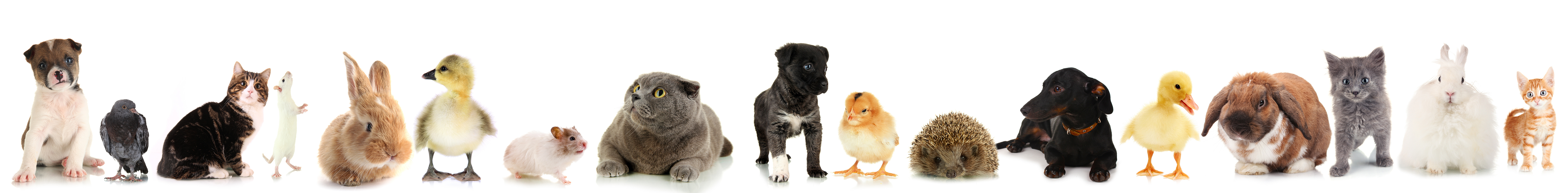 Amazon.com: Discover Series