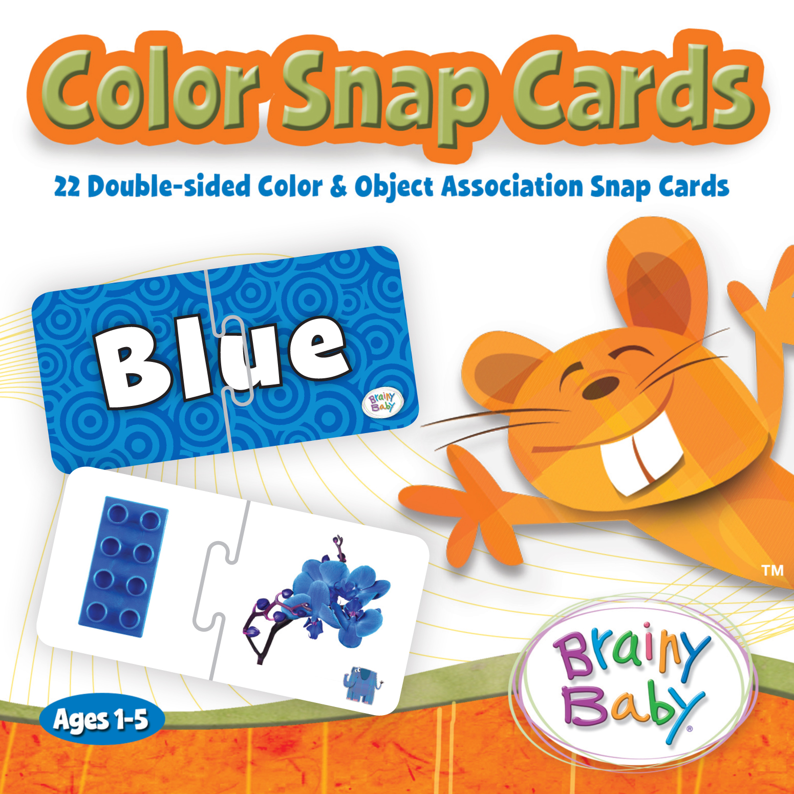 Amazon.com: Brainy Baby® Bilingual Baby® Baby's First Impressions ...