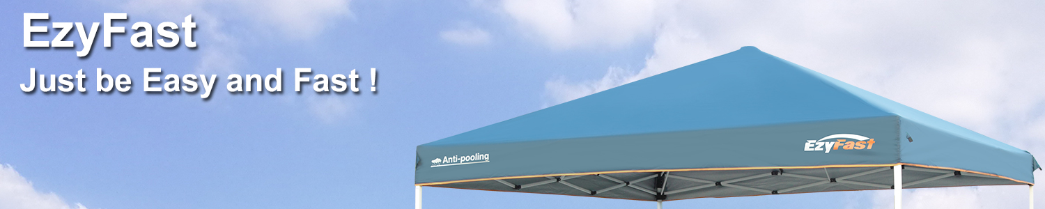 Amazon.com: EzyFast: Antipool Canopy