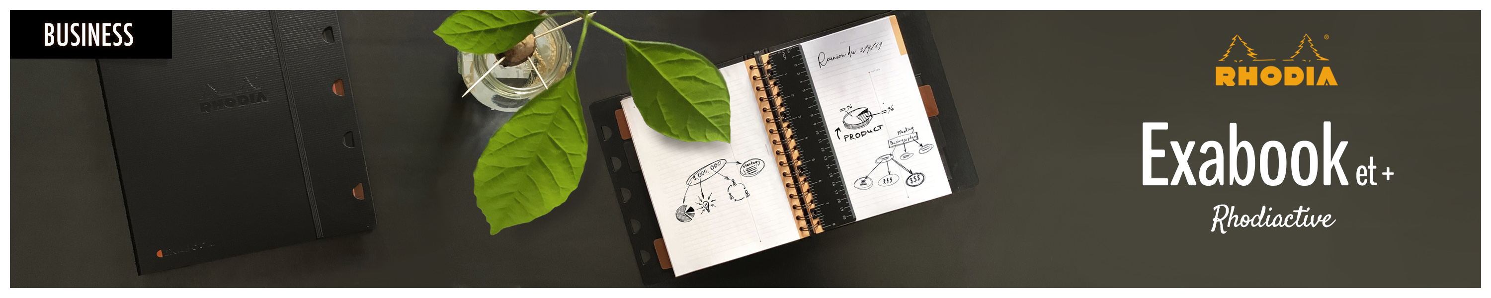 Amazon.fr: Rhodia: EXABOOK ET