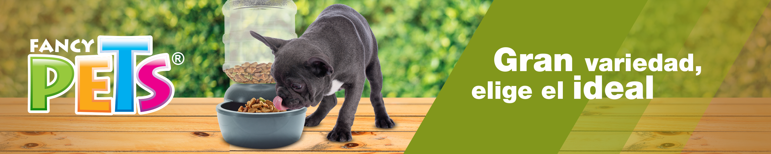 Amazon.com.mx: Fancy Pets: Dispensadores