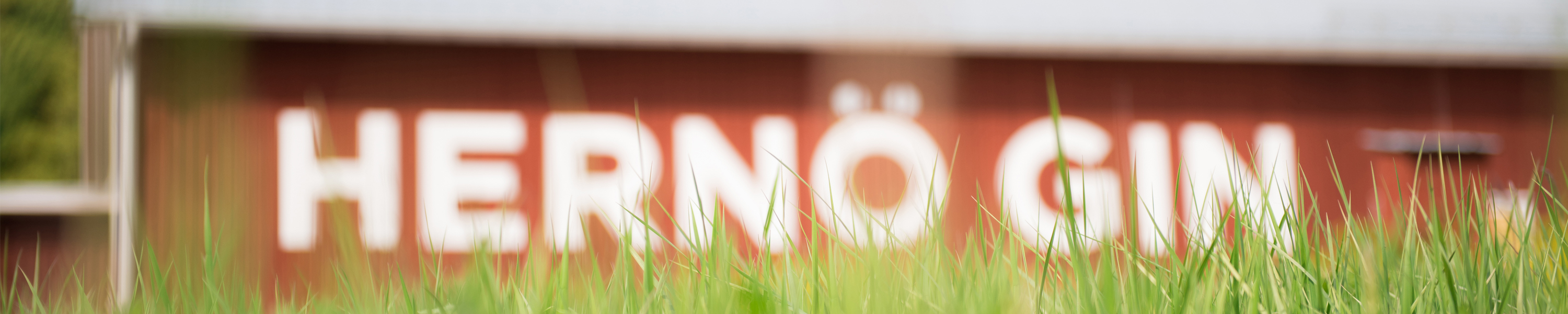 Amazon.co.uk: HERNÖ GIN