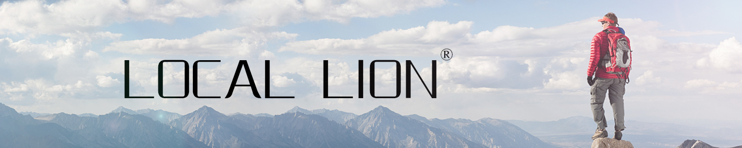 Amazon.co.uk: LOCAL LION: Bike Trunk Bag