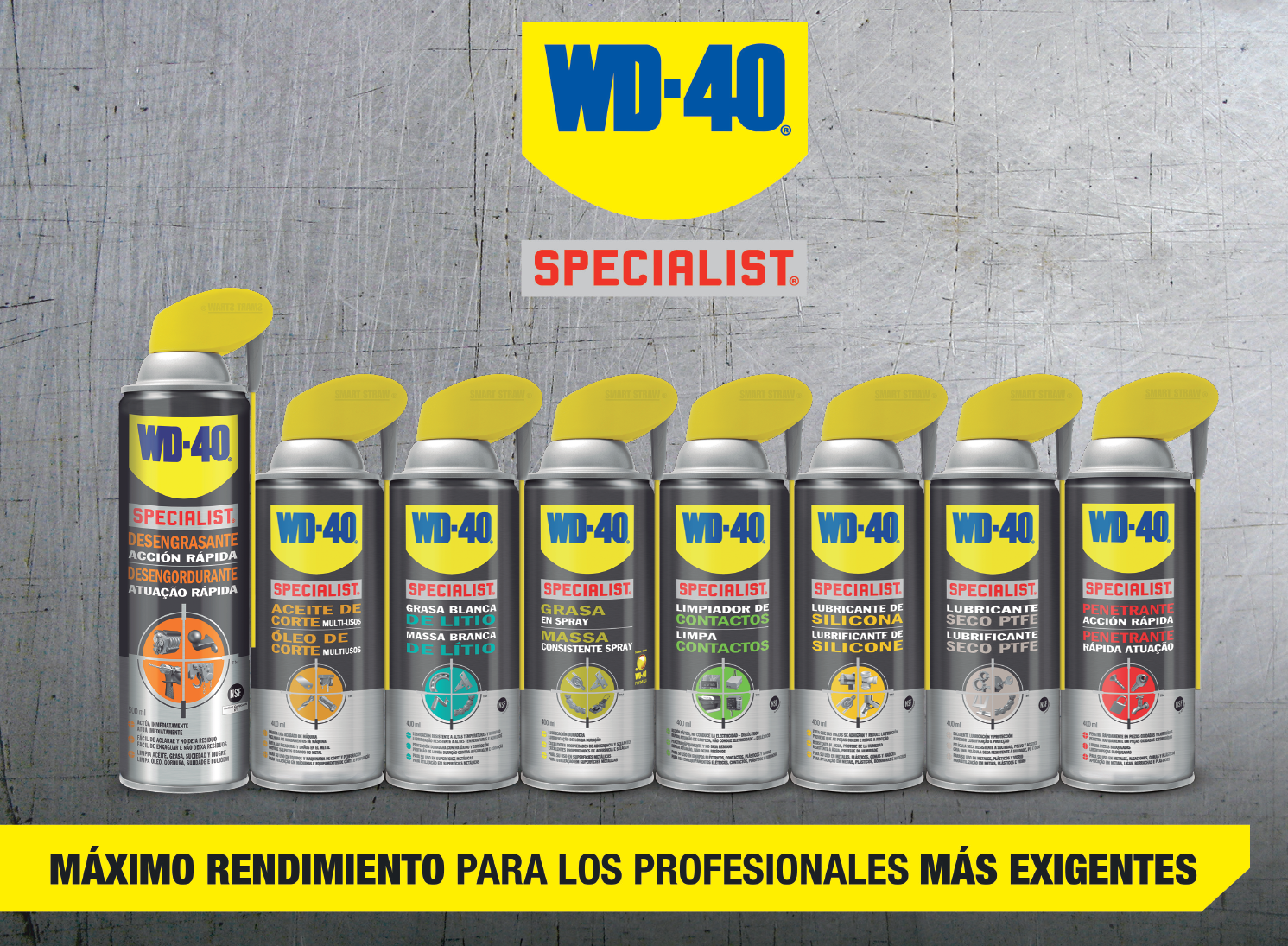 Amazon.es: WD-40 España: Specialist