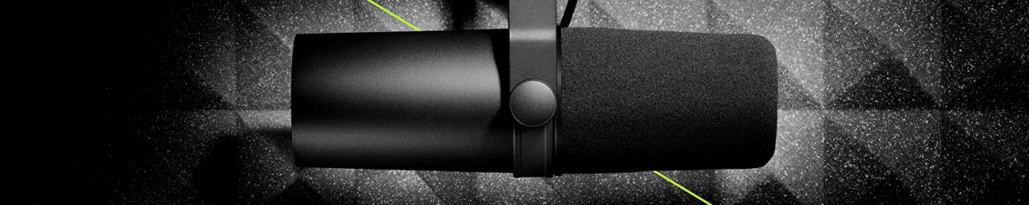 Amazon.in: SHURE: SM