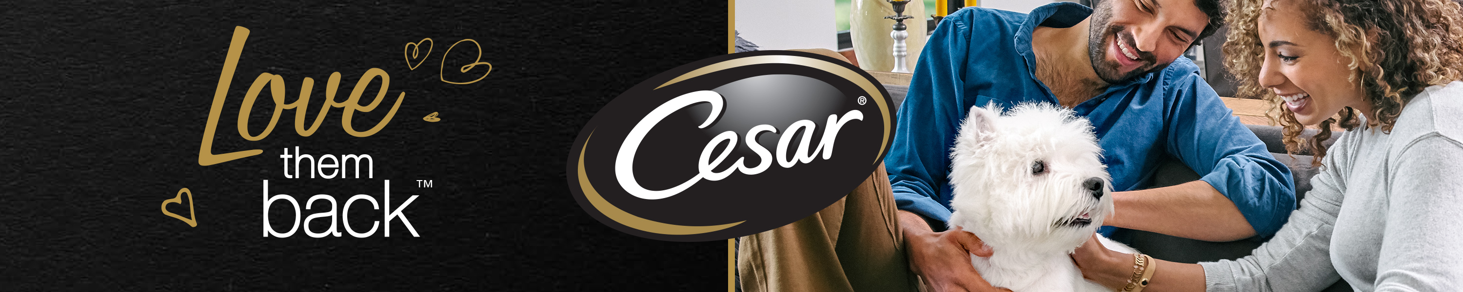 Amazon.ca: CESAR