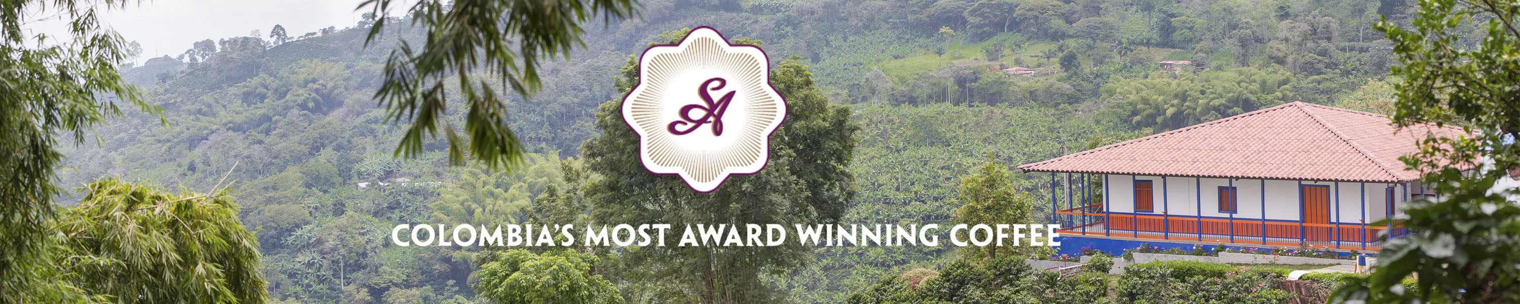 Amazon.com: San Alberto Coffee: Award Winning Coffee