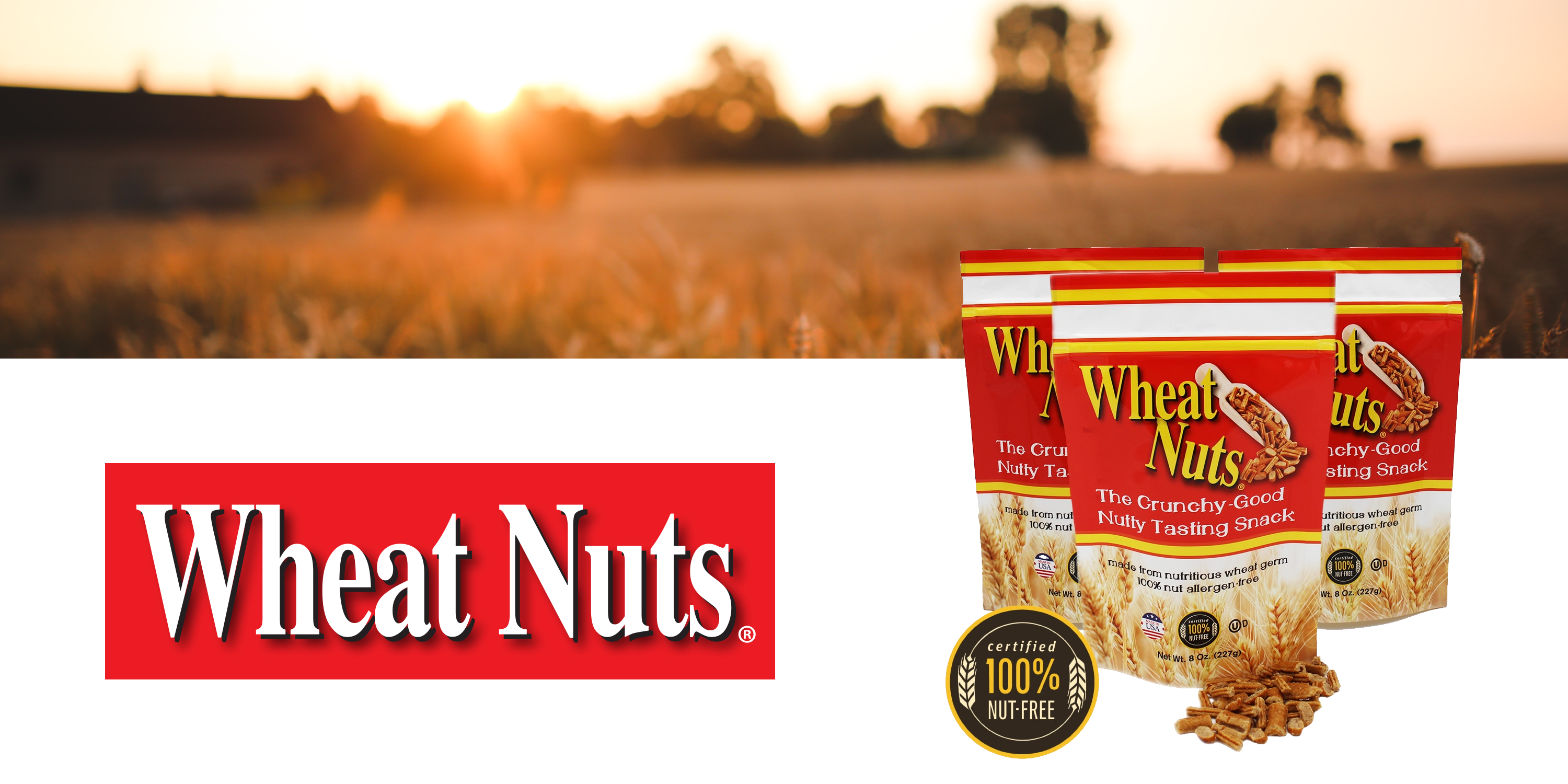 Amazon.com: Nadanut: Wheat Nuts®