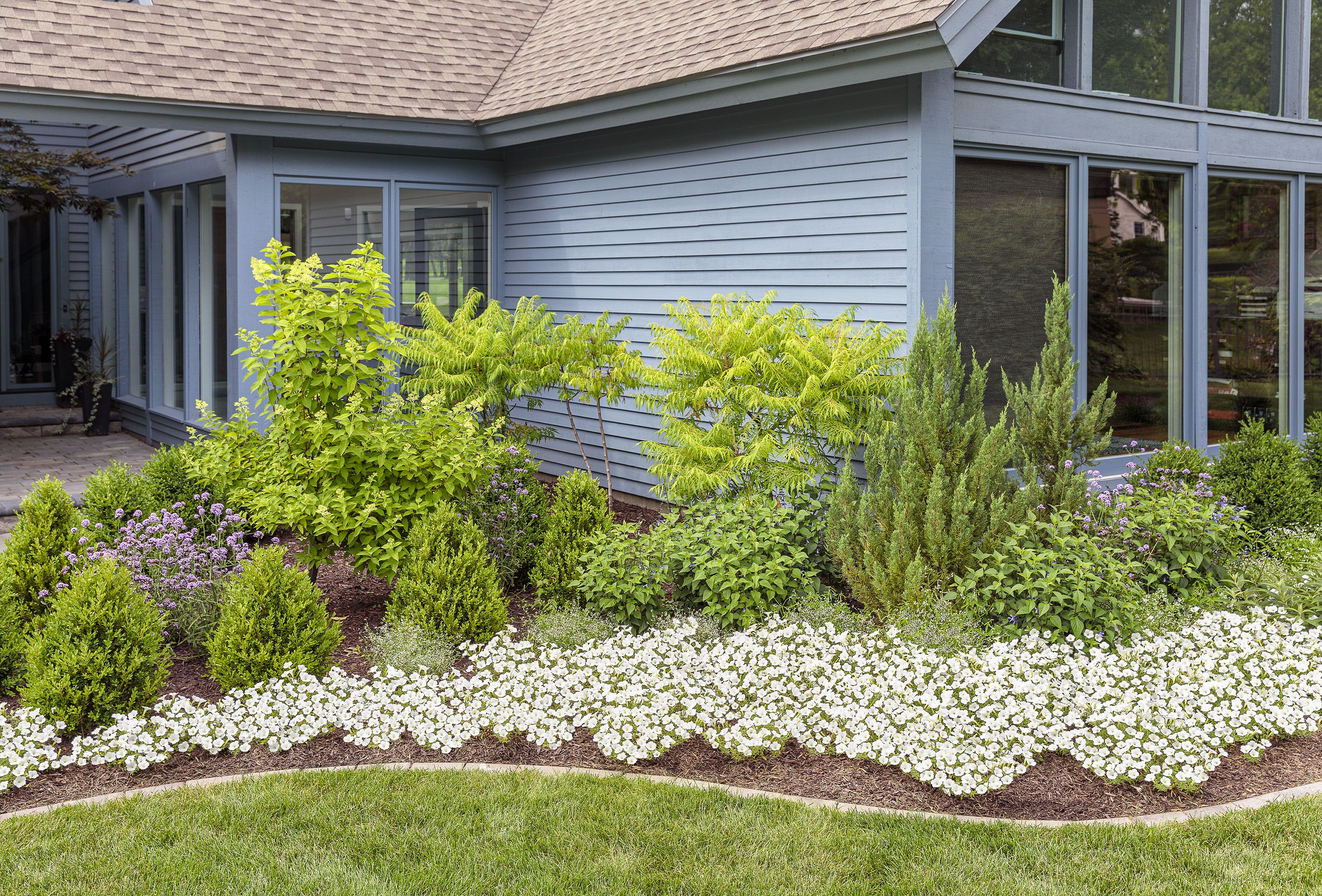 Amazon.com: Proven Winners: Landscape