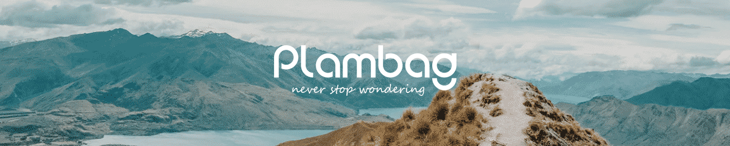 Amazon.com: PLAMBAG: Newest Arrivals