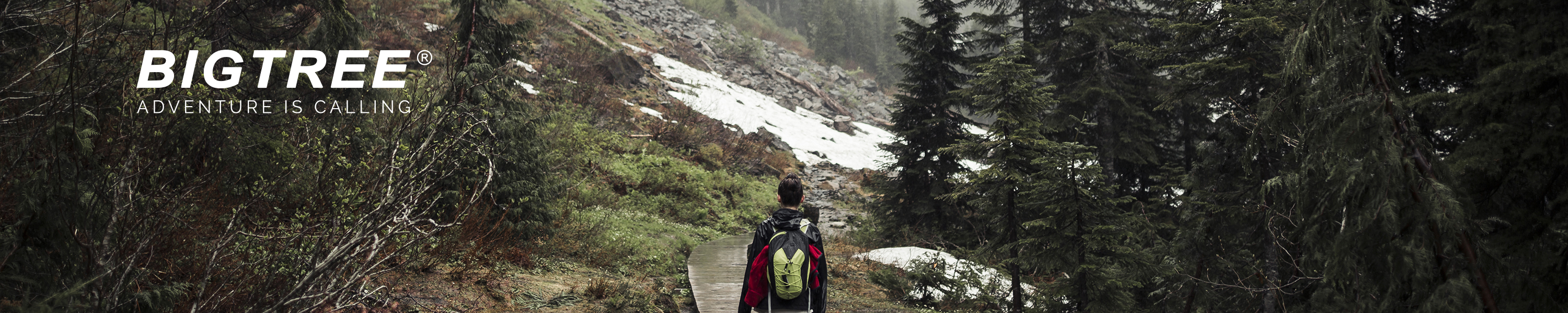 Amazon.com: BIGTREE Sales Inc: OUTDOOR GEAR