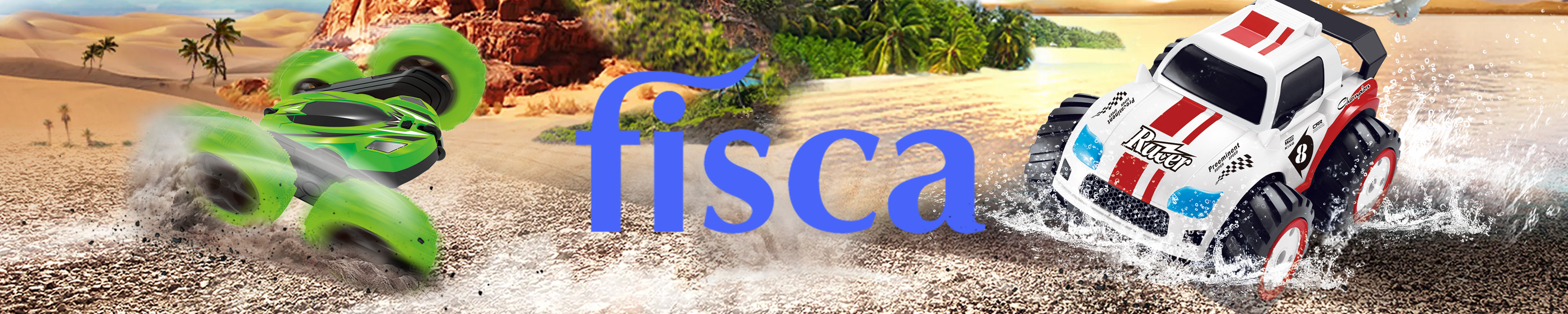 Amazon.com: fisca: RC Cars